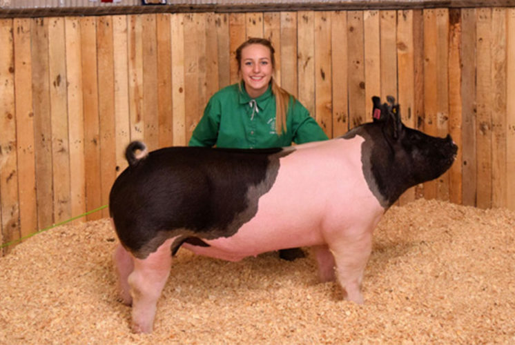 COTTONWOOD – Verde Valley Fair - Raising Arizona Kids Magazine