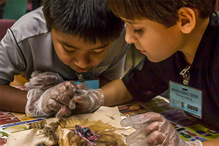 Presidents Day 2020 camps and events in greater Phoenix