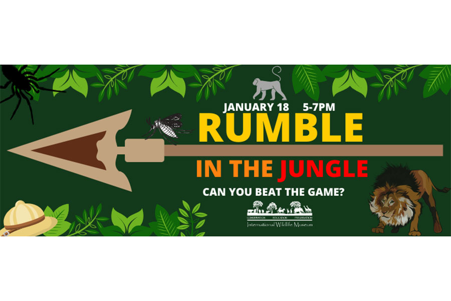 TUCSON – Rumble in the Jungle - Raising Arizona Kids Magazine