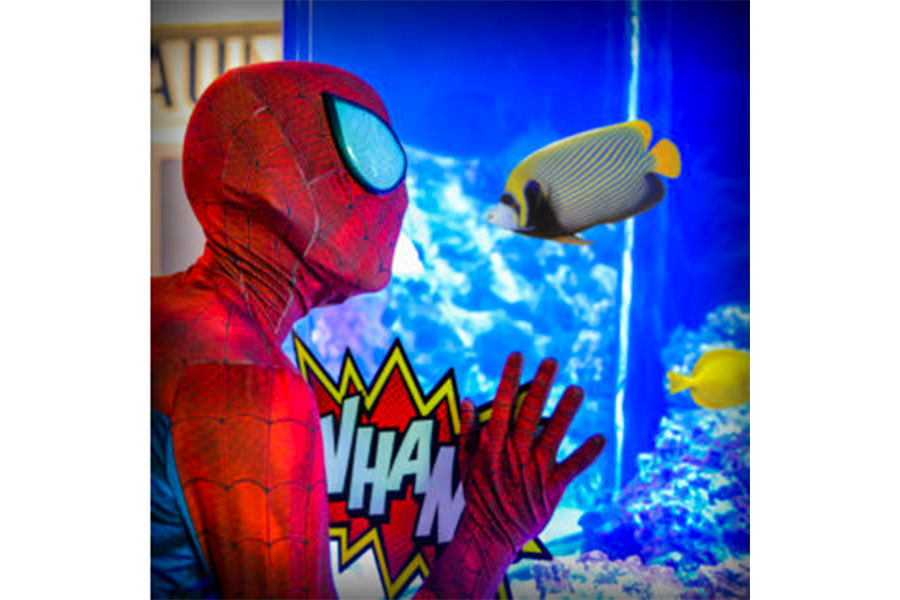 superheroes_aquarium - Raising Arizona Kids Magazine