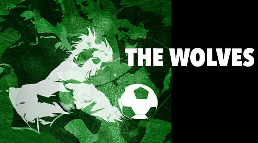 VIRTUAL – The Wolves - Raising Arizona Kids Magazine