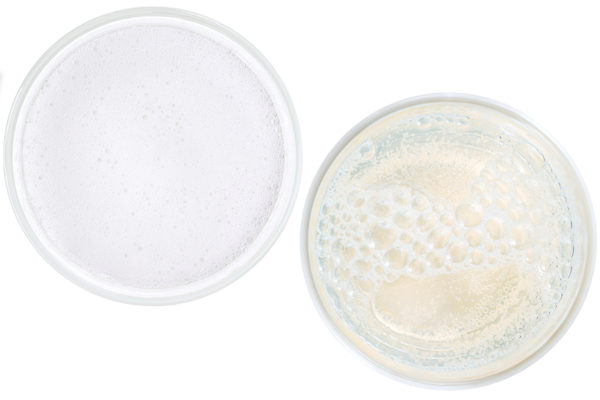 Sari on Science: A simple at-home activity for explaining a pandemic