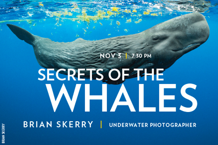National Geographic Live! Secrets of the Whales