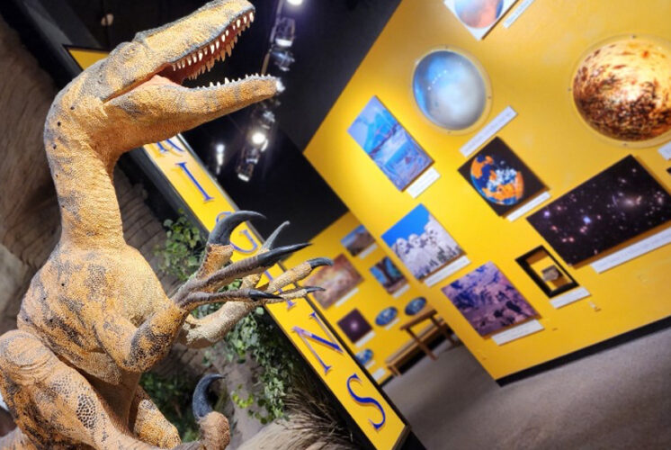 Dinosaur Day - Raising Arizona Kids Magazine