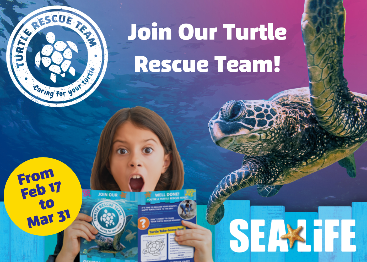 Turtle Rescue - Raising Arizona Kids Magazine