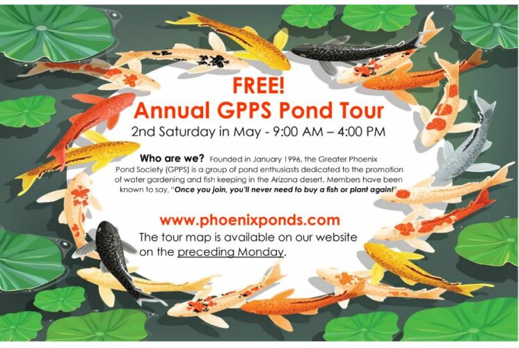 27th Annual GPPS Free Pond Tour - Raising Arizona Kids Magazine
